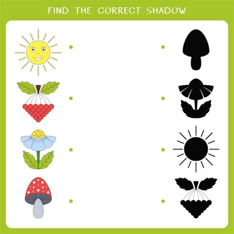 premium vector find the correct shadow for the object vector worksheet