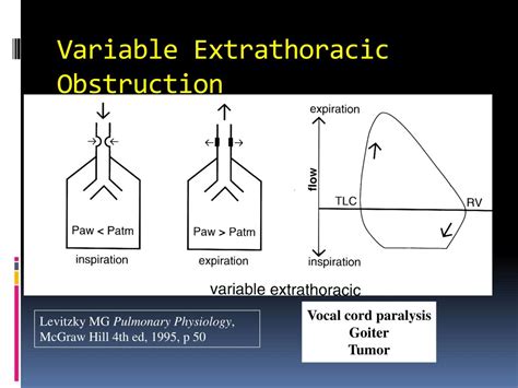 Ppt Pulmonary Function Testing Powerpoint Presentation Free Download Id 6625830