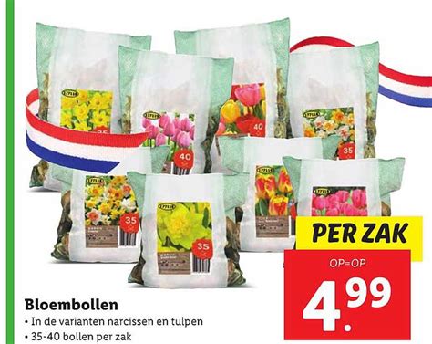 Bloembollen Narcissen En Tulpen Aanbieding Bij Lidl 1Folders Nl