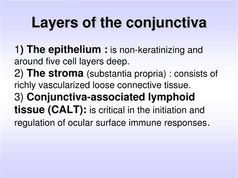 Ppt Conjunctiva Powerpoint Presentation Free Download Id9506032