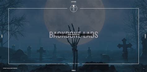 Backbone Labs Builds The Liquid Staking Platform “gravedigger” By