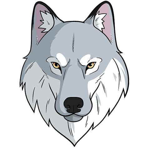 How To Draw A Wolf Face And Head Cute Wolf Drawings Cartoon Wolf