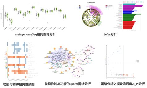 宏基因组科研测序分析服务 谷禾健康