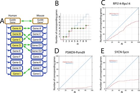Overview Of The Conservation Calculation Method A Schematic