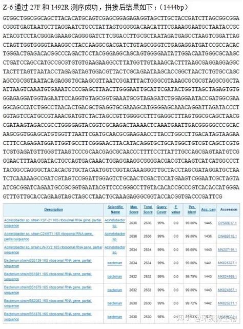 菌种鉴定技术方法与流程解析（含纯化、分子鉴定及常见问题） 知乎