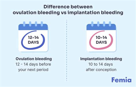 Bleeding During Ovulation Am I Pregnant Signs Explained Femia