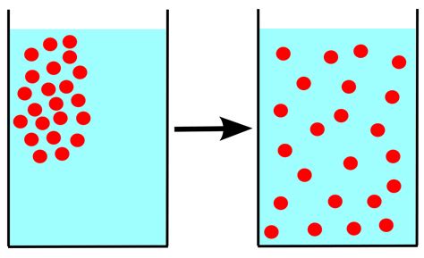 Osmosis Vs Diffusion 101 Definitions Examples And Practice Problems