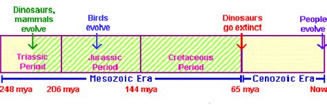 Animals And Plants In The Mesozoic Era Overview And Periods Lesson