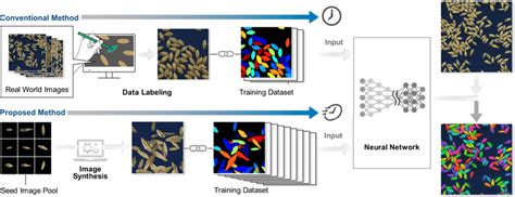 Overview Of The Proposed Training Process Of Crop Seed Instance Download Scientific Diagram