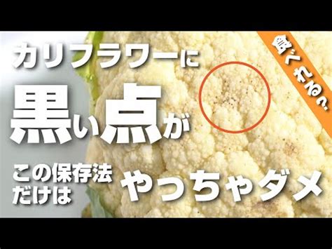 カリフラワーに黒い点や茶色いしみがカビなの間違った保存法でこんなことにちなみにまだ食べれる YouTube