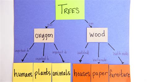 3 Ways To Make A Concept Map WikiHow