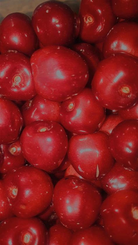 Пин от пользователя Іванка Єленець на доске І