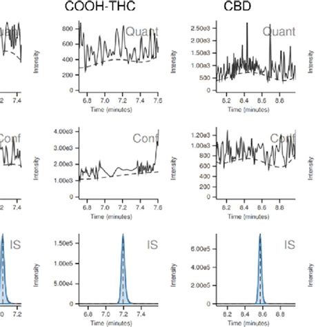 Multiple Reaction Monitoring Mrm Ion Transitions Mass Spectrometric