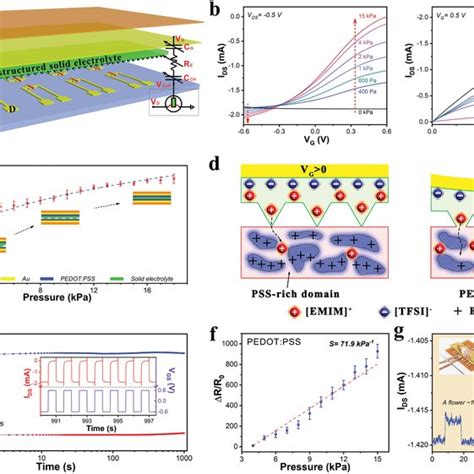 A Device Schematic Of Pressure Sensor Based On All‐solid‐state Oect Download Scientific