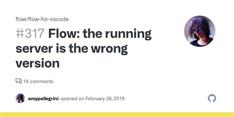 flow the running server is the wrong version · issue 317 · flow flow