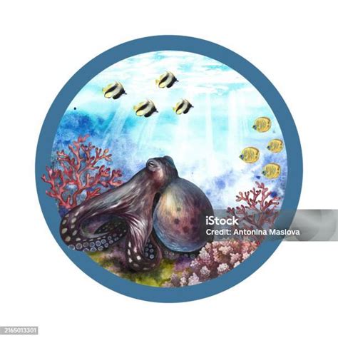 바다 밑바닥에 있는 문어 원형 구성의 수중 세계 손으로 그린 수채화 일러스트 인쇄물 스티커 엽서 및 자석용 0명에 대한 스톡