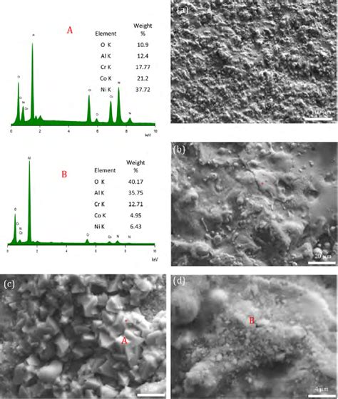 Oxide Scale Microstructure Of The Coated B Substrate After Cyclic