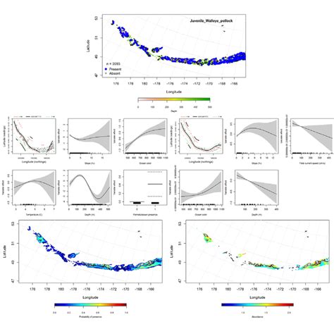 Distribution Of Catches Of Juvenile Walleye Pollock In Bottom Trawl