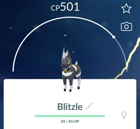 Blitzle Evolutie Grafiek Zebstrika 45 Prijzen Pokemon Team Up