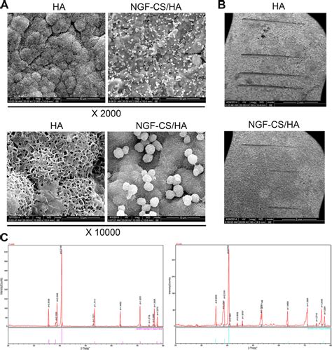 The Surface Topography Surface Adhesion And Ingredients Were Download Scientific Diagram