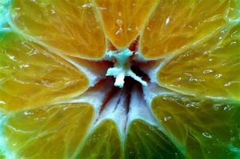 무료 사진 과일 주스 식품 레몬 감귤 류 오렌지 과일 과일 비타민 다이어트