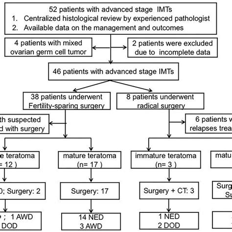 Flow Chart Summarizing Management And Outcomes In Patients With