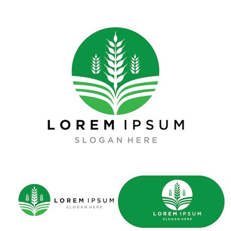 농장 벡터 농업 프리미엄 벡터