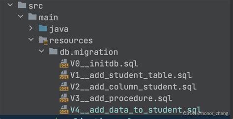 数据库版本管理工具flyway入门实战flyway支持哪些数据库 Csdn博客