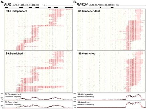 Ultra Deep Coverage Single Molecule R Loop Footprinting Reveals Principles Of R Loop Formation Pmc