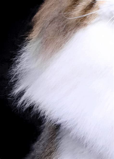 Merge Layers While Keeping Blend Modes Adobe Product Community