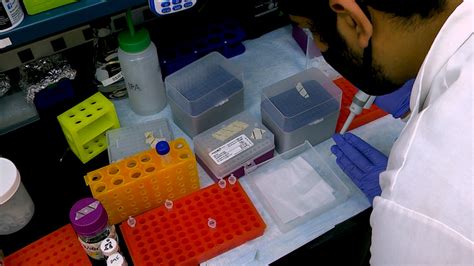 Video Self Assembly Of Gamma Modified Peptide Nucleic Acids Into