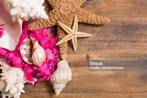 다양한 조개 껍질 수집 모래 달러 콘치 가리비 별 물고기 핫 핑크 하와이안 레이와 얽혀 있습니다 배경은 거친 나무입니다 0명에 대한 스톡 사진 및 기타 이미지 Istock