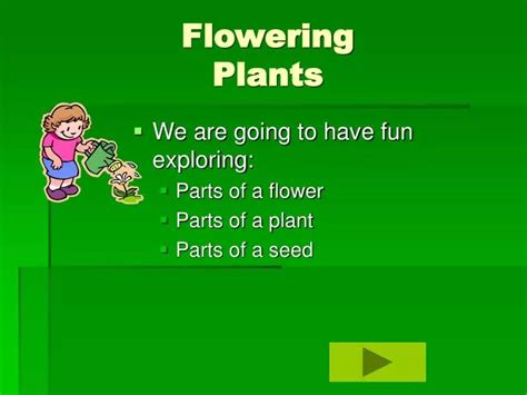 Ppt Flowering Plants Powerpoint Presentation Free Download Id336348