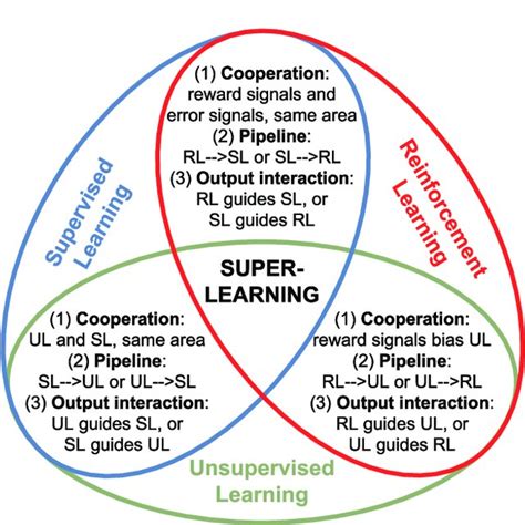 pdf the super learning hypothesis integrating learning processes across cortex cerebellum