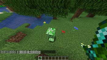 More Forests Gallery