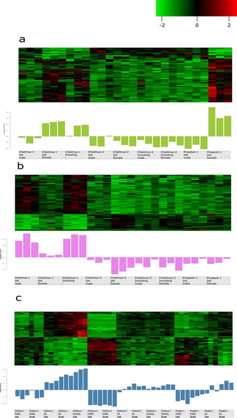 Heatmap Of Scaled Gene Expression Profiles And Barplot Of Scaled