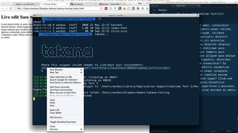 Live Edit Sass With Takana And Sublime Text Youtube