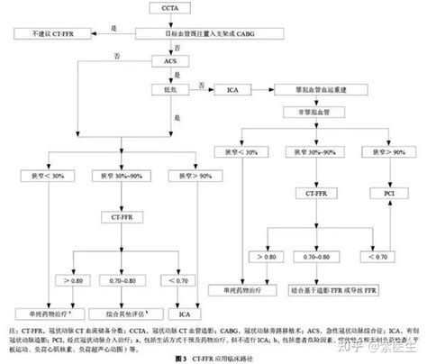高尚医学影像之冠状动脉ct血流储备分数ai定量分析（ct Ffr） 知乎