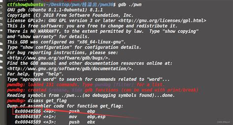 Ctfshow Pwn 栈溢出（pwn36）ctfshow Pwn Csdn博客
