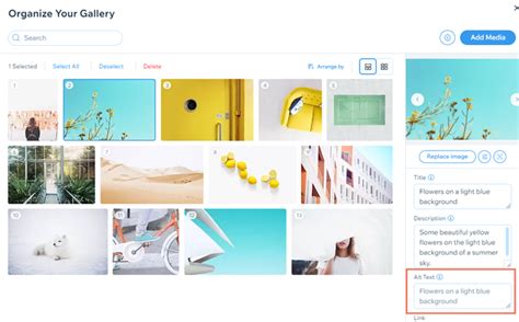 Optimizing Your Images And Galleries For Seo Alt Text Help Center