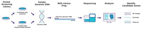 Genomic Dna Prep And Deconvolution Services