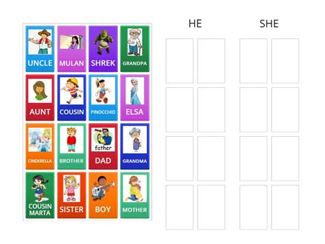 HE Or SHE Group Sort