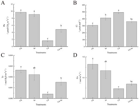 Exogenous Selenium Enhances Cadmium Stress Tolerance By Improving