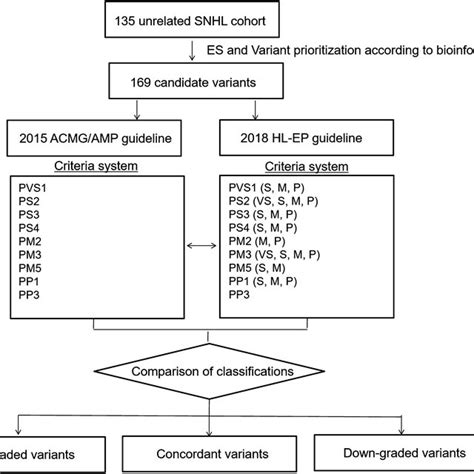 Pdf Improving Genetic Diagnosis By Disease Specific Acmgamp Variant