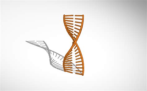 3d Design Dna Tinkercad 3d Design Dna Tinkercad