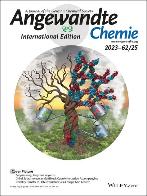 Low‐cost High‐strength Cellulose‐based Quasi‐solid Polymer Electrolyte