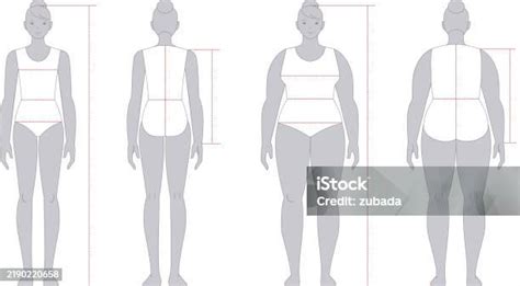 몸 매개변수의 측정 선과 함께 전체 길이의 여성과 소년 남성 여성 및 어린이 크기 측정 인체 측정 및 비율 가냘픈에 대한 스톡 벡터 아트 및 기타 이미지 Istock