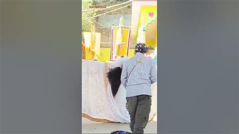 Jai Ho Baba Narsingh Devta Ki Youtube