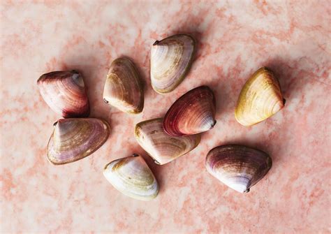 Reservations Pipi S Restaurant