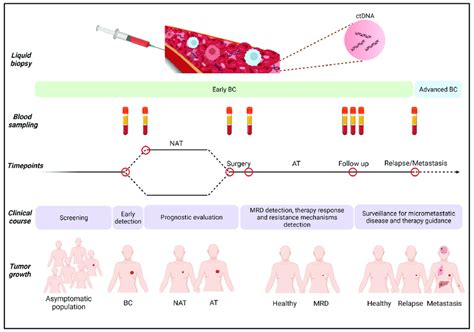 Analysis Of Ctdna At Various Time Points Can Contribute To The Clinical